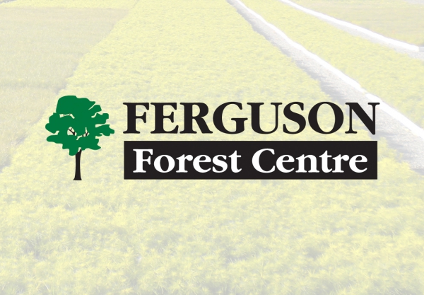 TD Graham + Associates - Ferguson Forest Centre